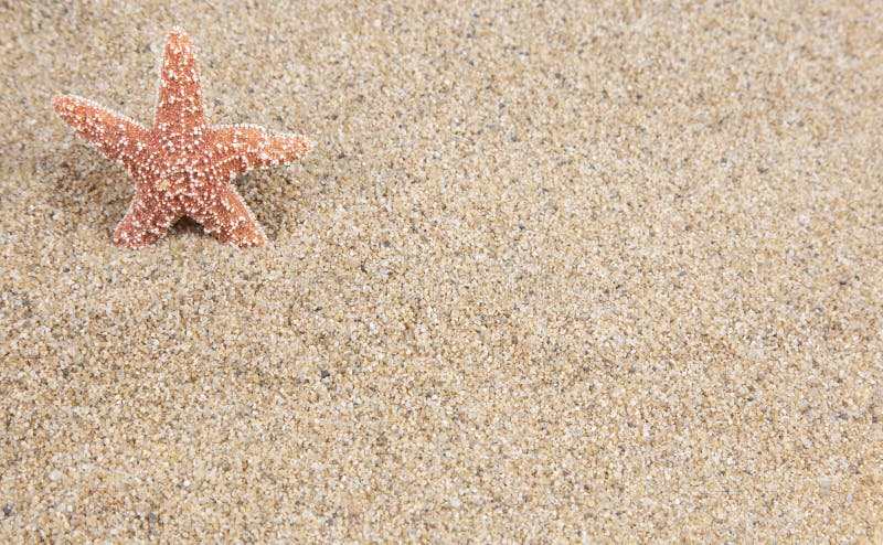 Starfish sand background stock photo. Image of textured - 18581976