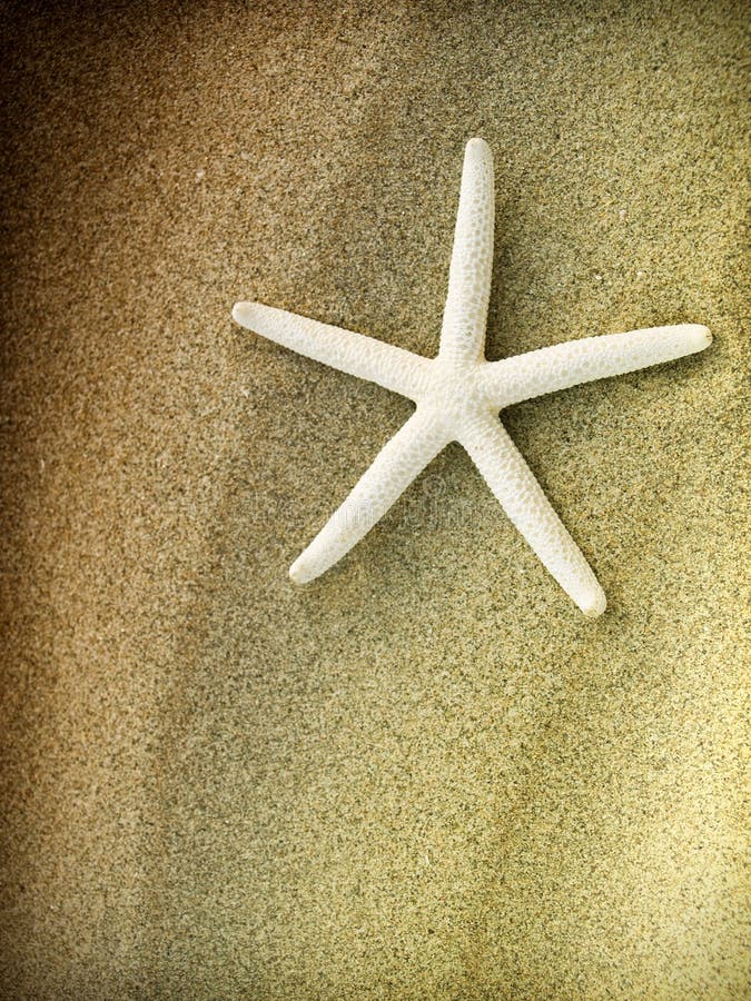 Starfish On A Sand Beach Picture. Image: 9908529