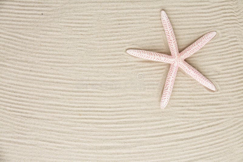 Starfish on sand stock photo. Image of beach, vacation - 109949052