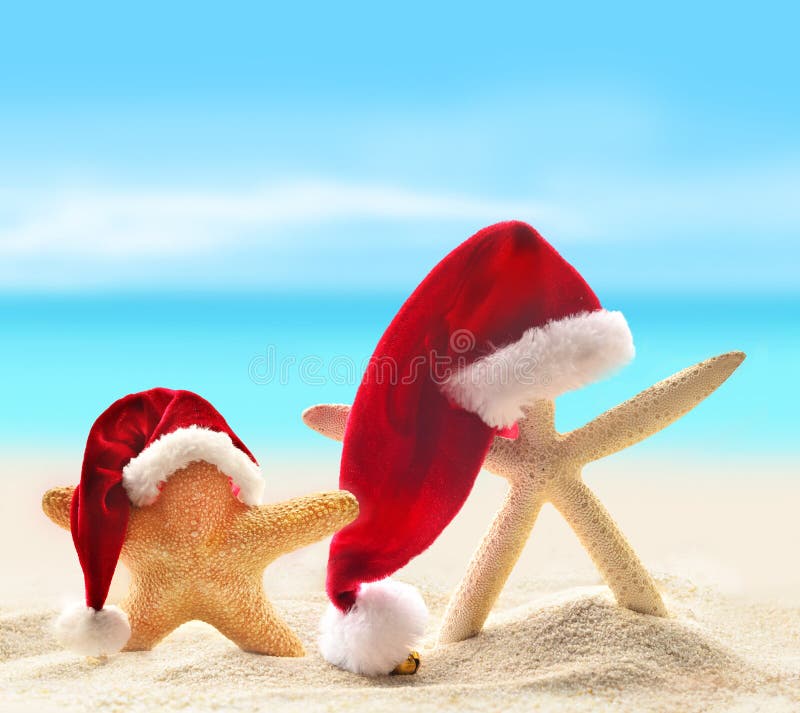 Starfish in Santa Hat on Summer Beach Stock Photo - Image of tourism ...