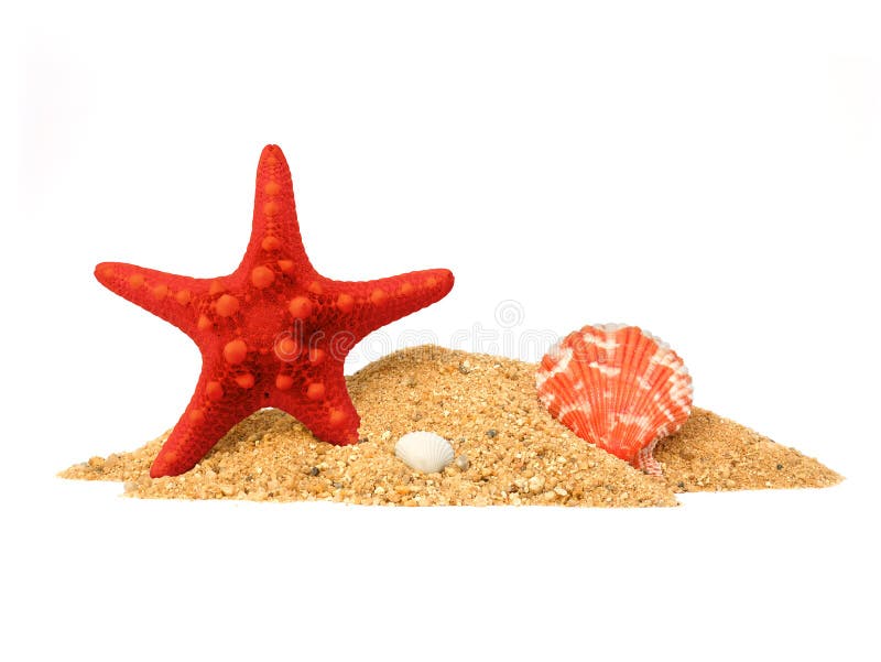 Starfish and Sea Shell in Sand Pile Isolated on White Background, Side ...