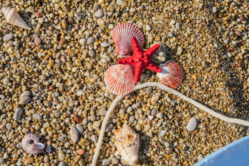 Starfish and Sea Shells, White Rope, Lie on Multi-colored Pebble Stock ...
