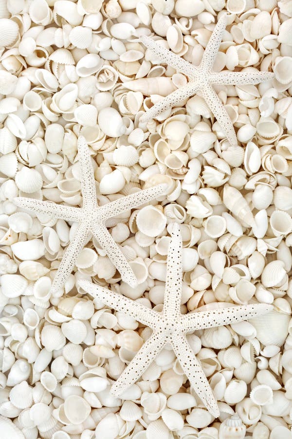 Starfish and Seashell Background Stock Photo - Image of nautical, shell ...