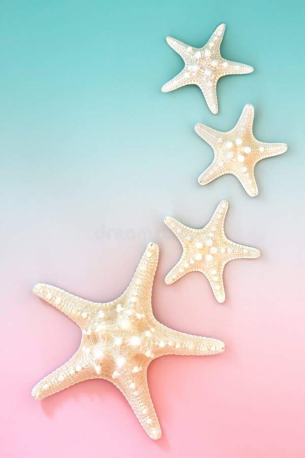 Starfish Seashell Creative Background Composition Stock Photo - Image ...