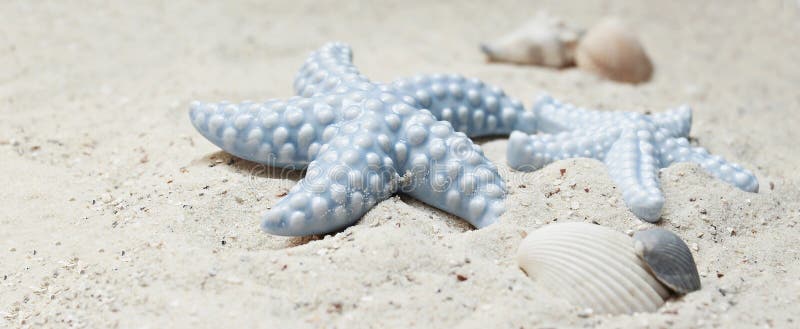 Starfish, Seashell, Sand, Close Up Picture. Image: 100776191