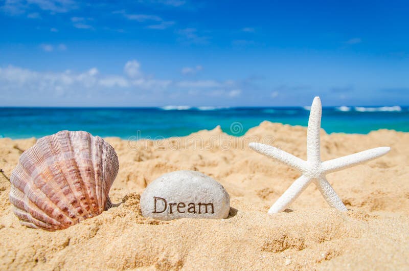 Starfish with Seashell and Sign Stock Image - Image of space, seashore ...