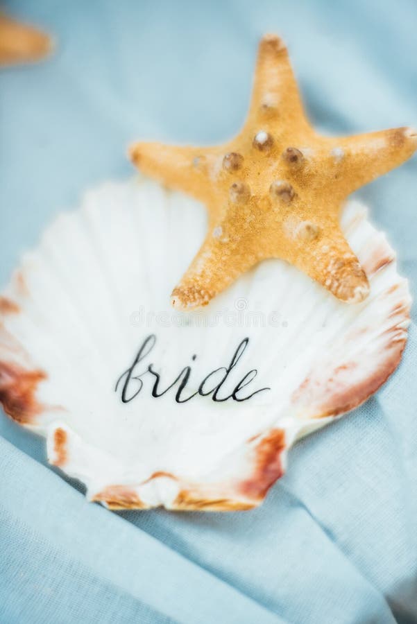 Starfish and Seashell Wedding Decor Stock Image - Image of nature ...