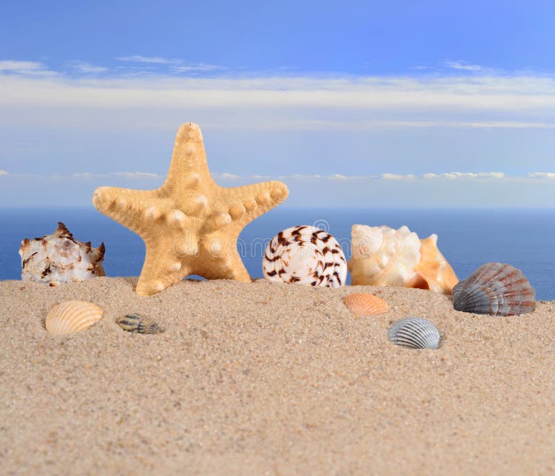 Starfish and Seashells on a Beach Sand Stock Image - Image of colored ...