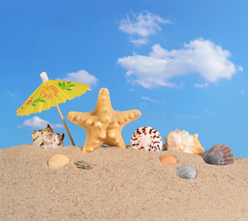 Starfish and Seashells on a Beach Sand Stock Photo - Image of ...