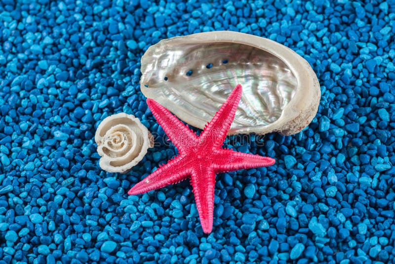 Starfish and Seashells Beautiful Closeup on Blue Background Stock Photo ...