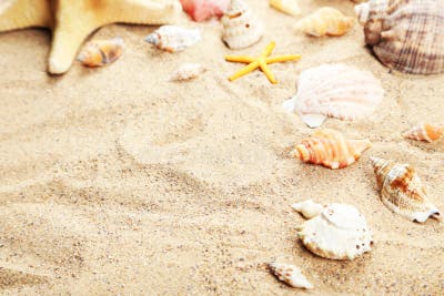 Starfish and Shells on a Sand Beach, Close Up Stock Photo - Image of ...