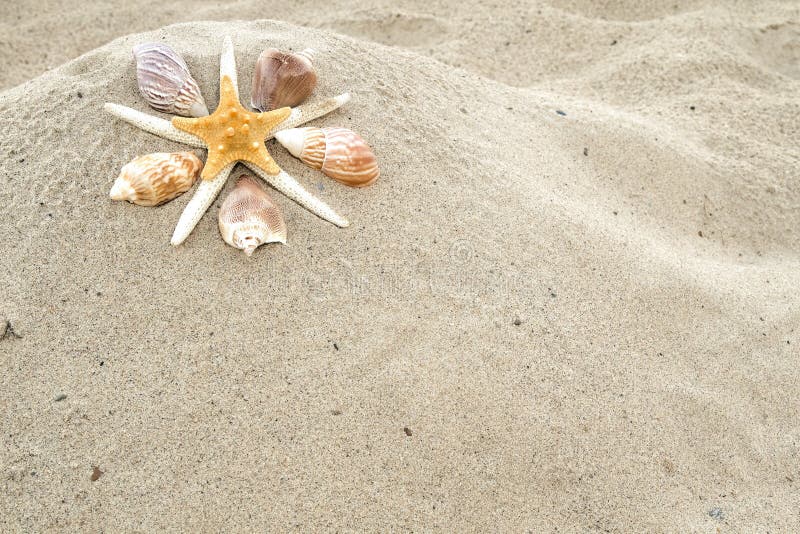 Starfish Footprint Over Caribbean Sand Stock Image - Image of beautiful ... Starfish Footprint Over Caribbean Sand Stock Image - Image of beautiful ...