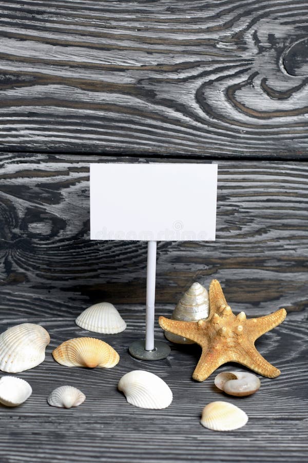 Starfish and Shells are Scattered on Pine Boards Painted in Black and ...