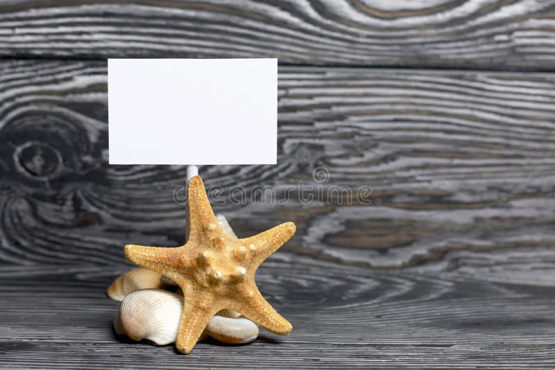 Starfish and Shells are Scattered on Pine Boards Painted in Black and ...