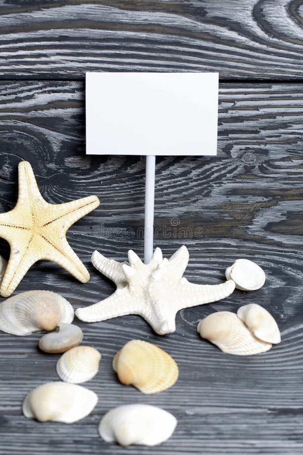 Starfish and Shells are Scattered on Pine Boards Painted in Black and ...