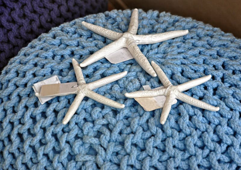 Starfish in shop stock photo. Image of wildlife, home - 44848330
