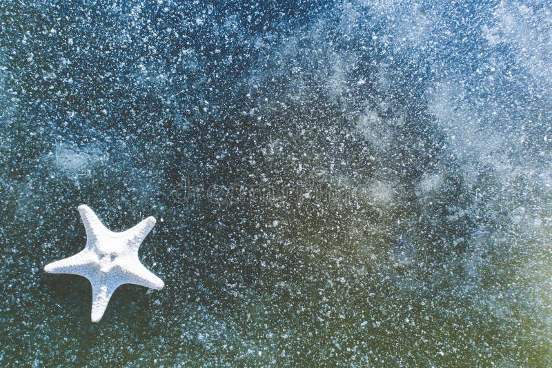 Starfish stock photo. Image of surface, shore, marine - 153880704