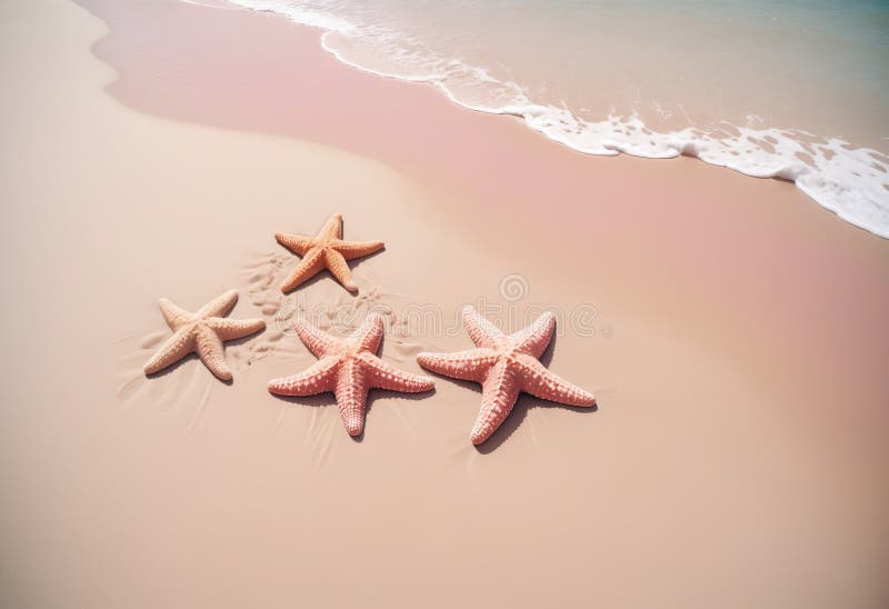 Starfish on Summer Beach Sun Day Stock Illustration - Illustration of ...