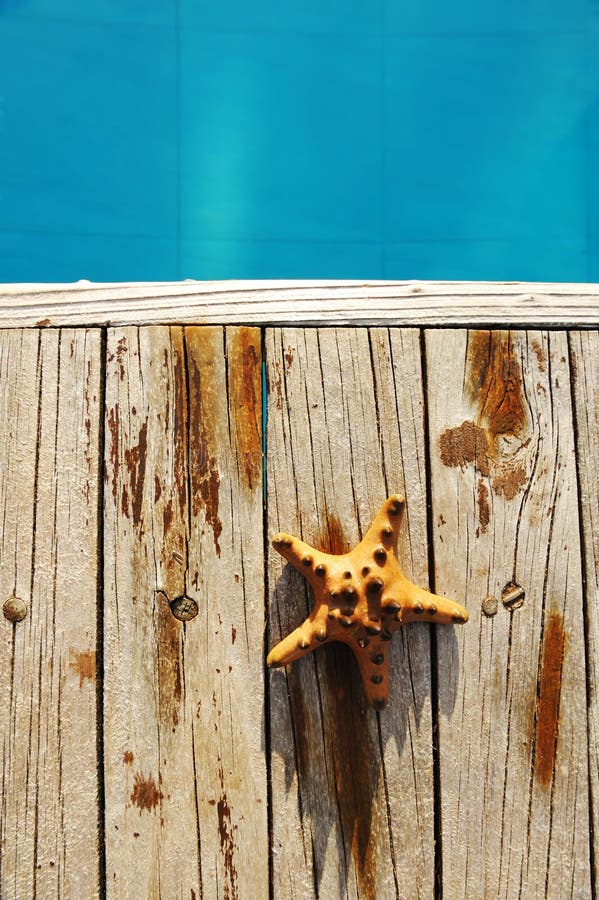 Starfish by a Swimming Pool Stock Photo - Image of heat, swimming: 17828200