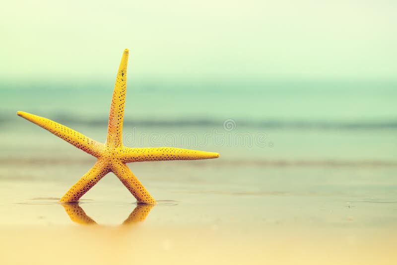 Starfish stock photo. Image of copy, starfish, vacation - 46215464