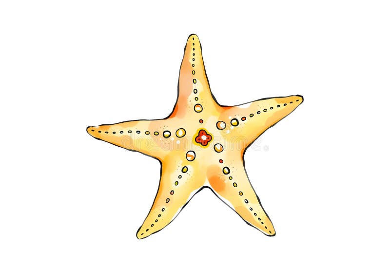 Starfish in Watercolour Technique. Vector Illustration. Stock Vector ...