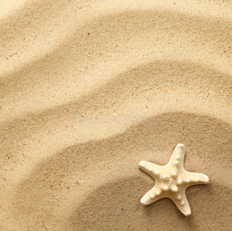 Starfish on Wavy Sand Background Stock Image - Image of texture, dune ...