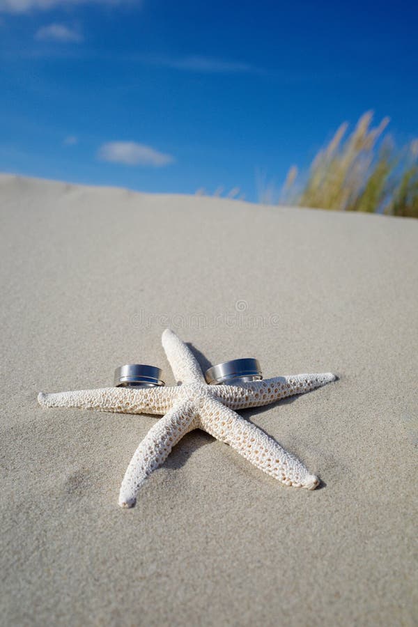 Starfish with Wedding Rings on the Beach and Copy Space Stock Image ...