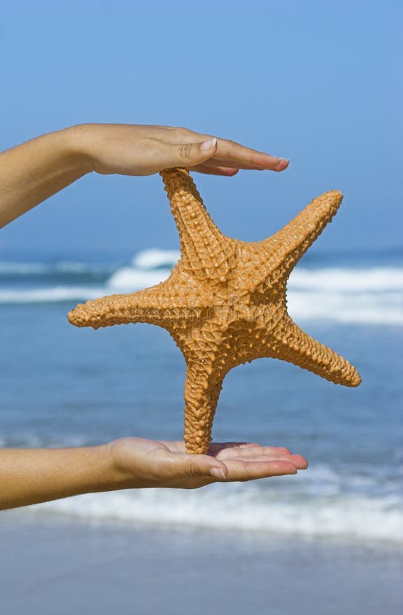 Starfish woman stock photo. Image of starfish, body, fresh - 3248100