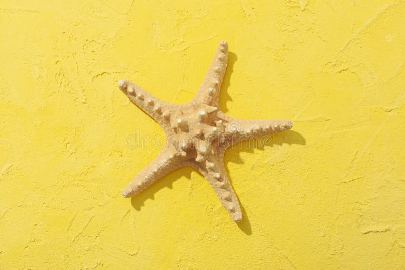 Starfish on Yellow Background, Top View Stock Image - Image of marine ...