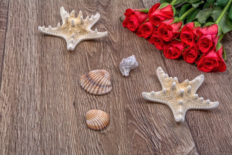 Red Starfish Sea Shells Roses Wooden Background Stock Photos - Free ...