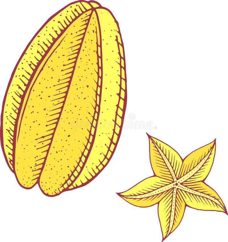 Starfruit Color Isolated Art.Tropical and Exotic Fruit Stock Vector ...