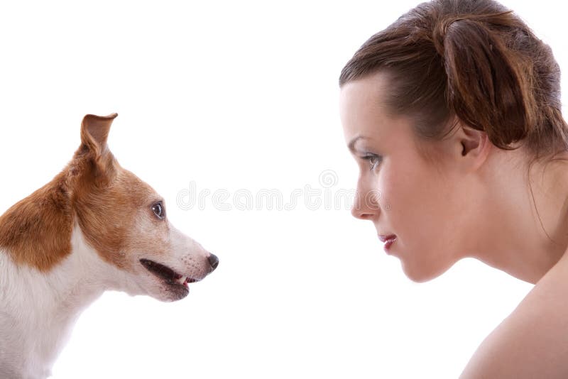 Staring contest stock image. Image of canine, looking - 7600627