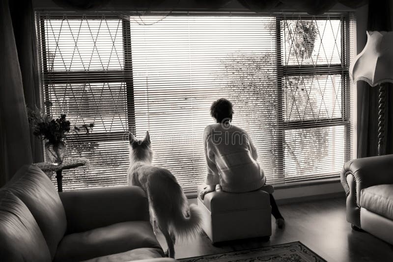 Staring into the Distance stock image. Image of stare - 20922425