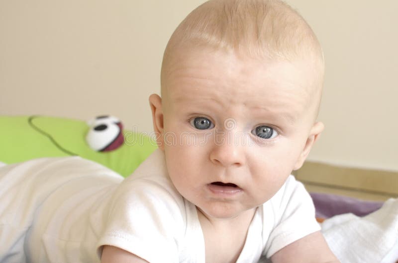 Staring little baby stock photo. Image of infant, innocent - 74293094