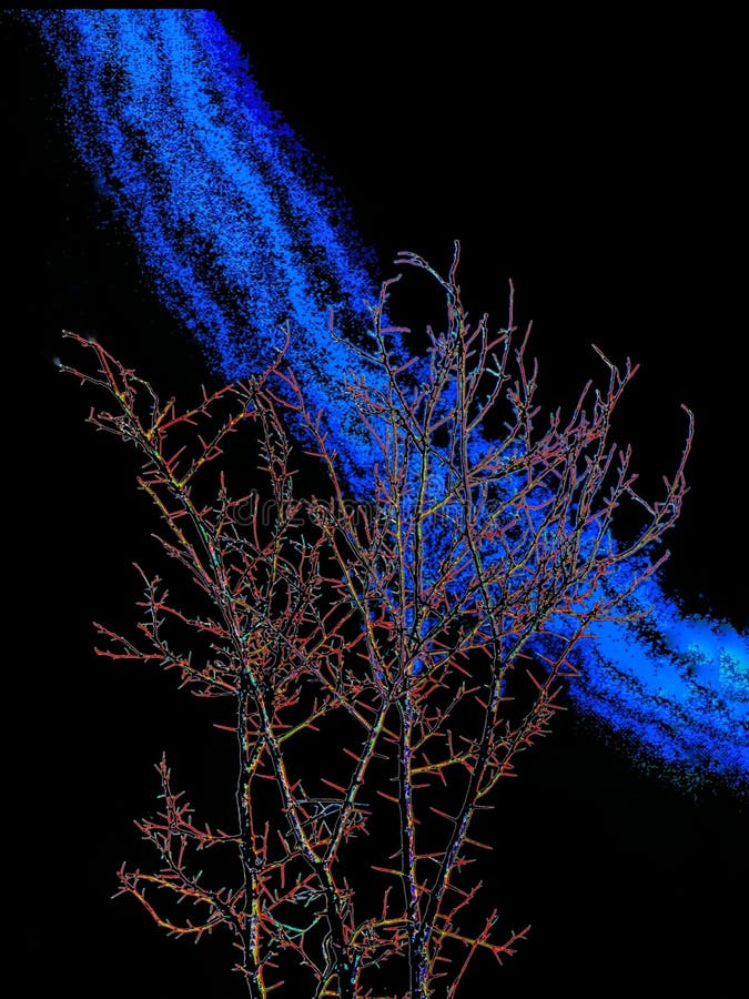 A Stark, Abstract Tree with Bare Branches Stands Against a Dark ...