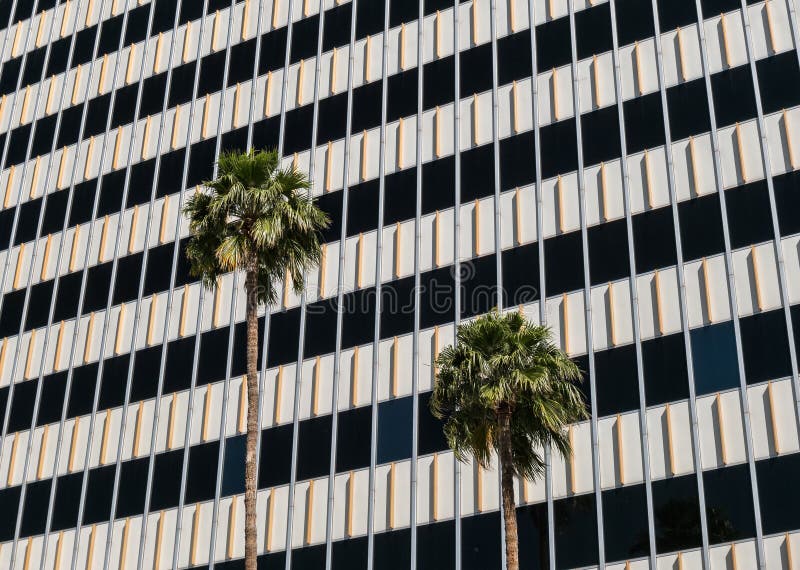 Palm Trees and a high rise stock photo. Image of colors - 146136632
