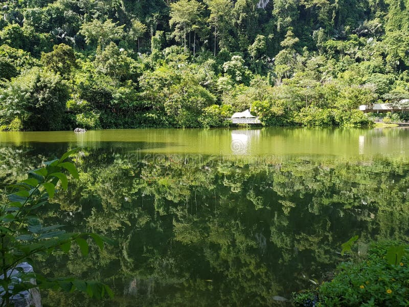 Reflections on the lake stock photo. Image of stark - 123035608