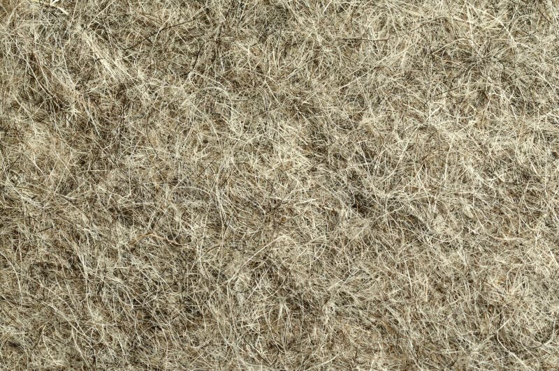 Starker Filz - Beschaffenheit, Hintergrund. Stockfoto - Bild von filz ...