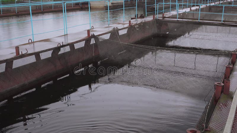 Fish Farm with Ponds. Bohol,Philippines Stock Video - Video of lake ...