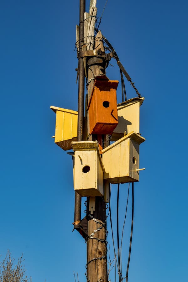 Starling Boxes on the Pillar Stock Image - Image of boxes, blue: 114904947