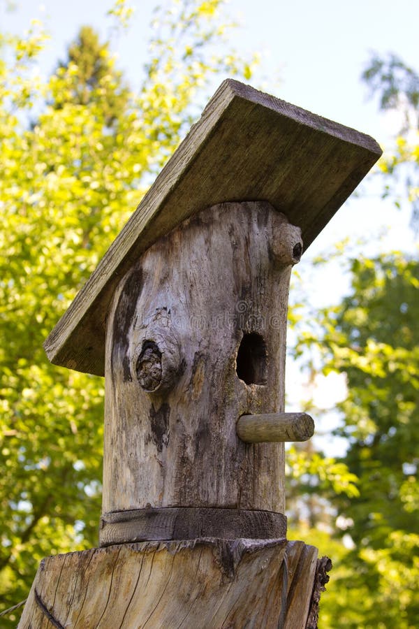 Starling house stock image. Image of wildlife, ornamental - 25436935