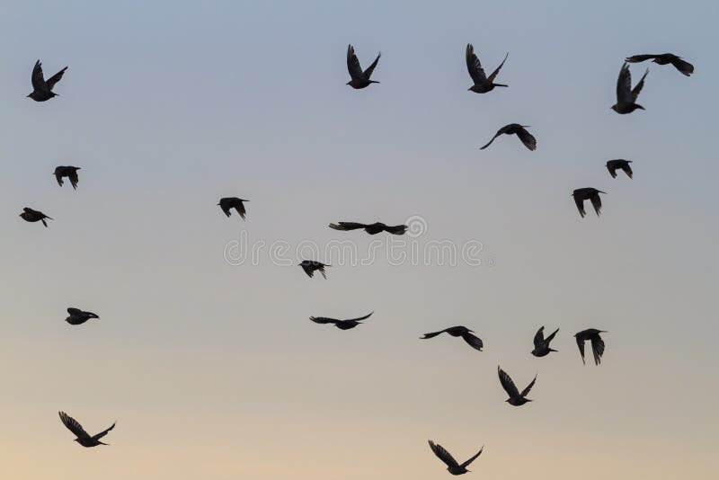 Flying home stock image. Image of aerospace, 30th, 21st - 84412927