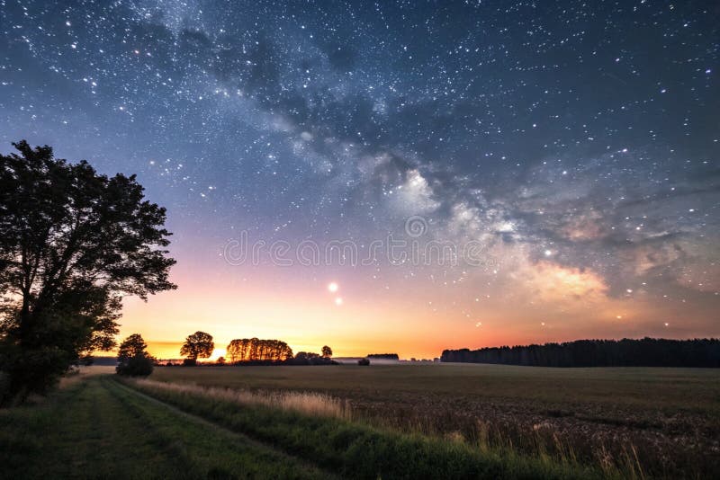 Starlit Night Sky with Field Landscape Stock Illustration ...