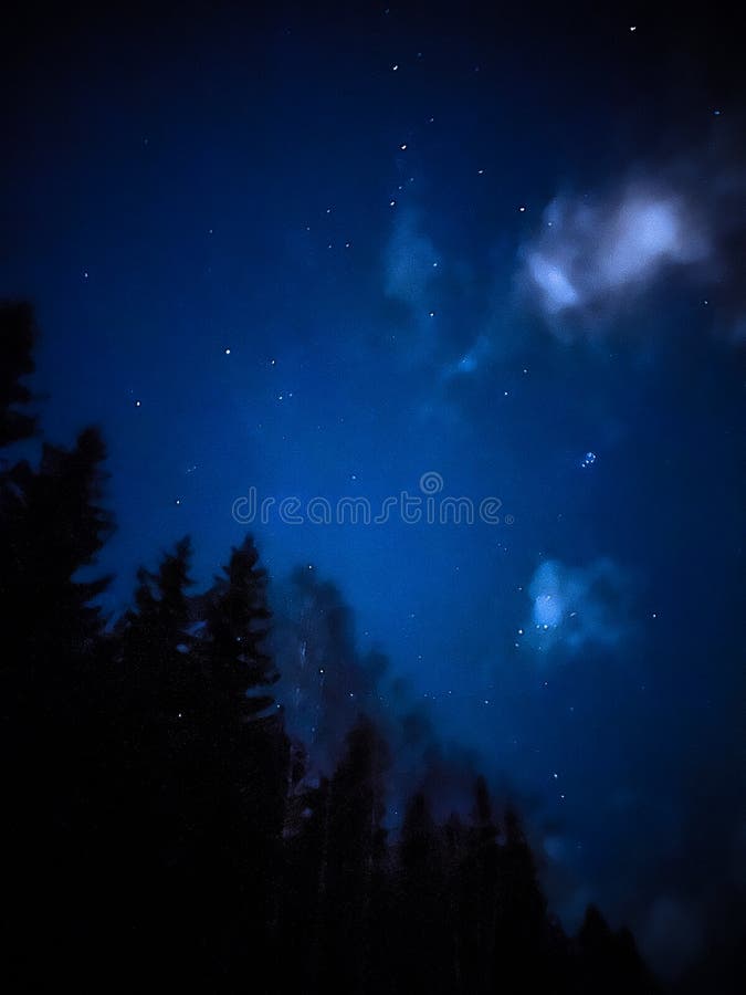 Starry December Night stock image. Image of darkness - 236242313