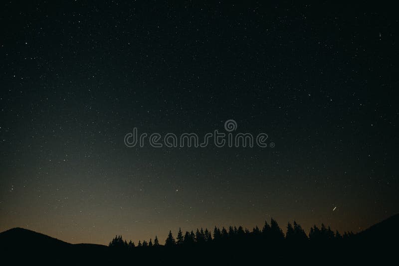 Starry Forest Background Up in the Mountains Stock Photo - Image of ...