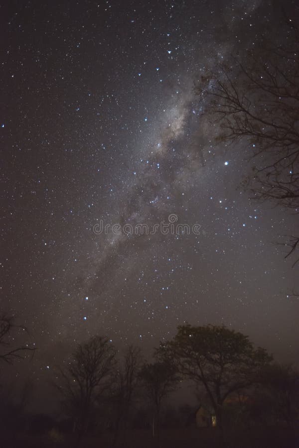 Starry Milky Way stock photo. Image of forest, country - 272245502