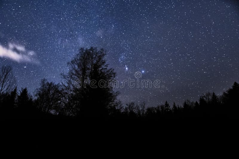 Starry night cloudless sky stock image. Image of trees - 202841805