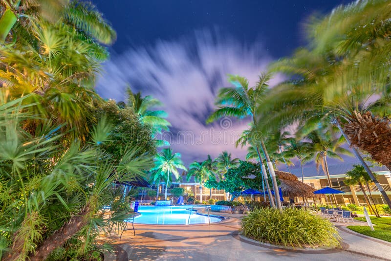 Starry Night with Clouds Over a Beautiful Pool Surrounded by Palms ...