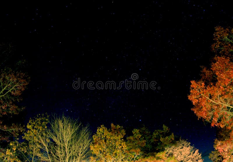 The Starry Night on a Fall Day Stock Photo - Image of orange ...