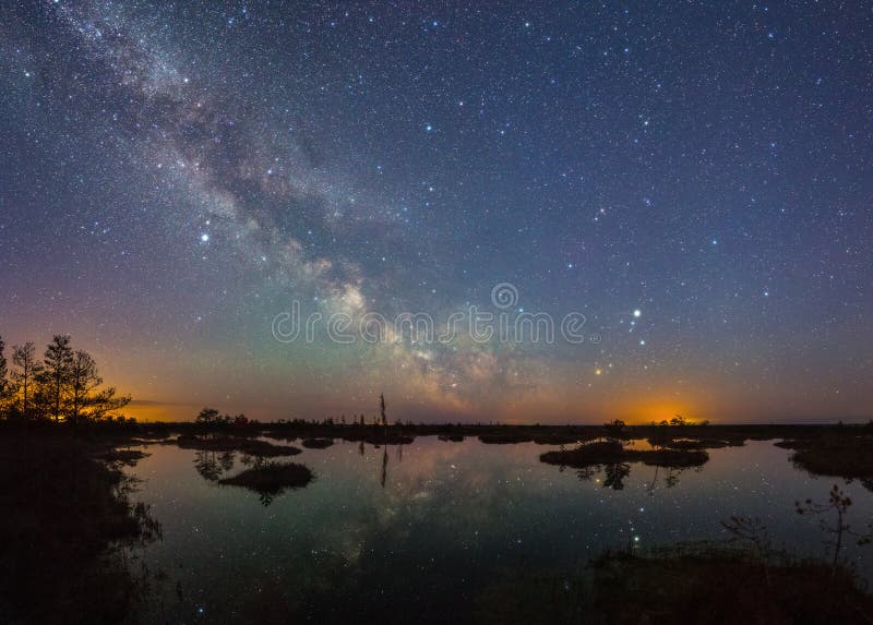 6,055 Night Swamp Stock Photos - Free & Royalty-Free Stock Photos from ...